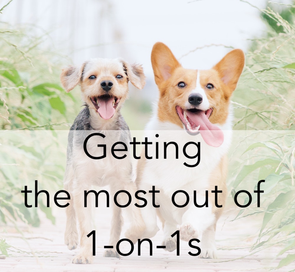 Getting the most out of 1-on-1s | Christian Uhl